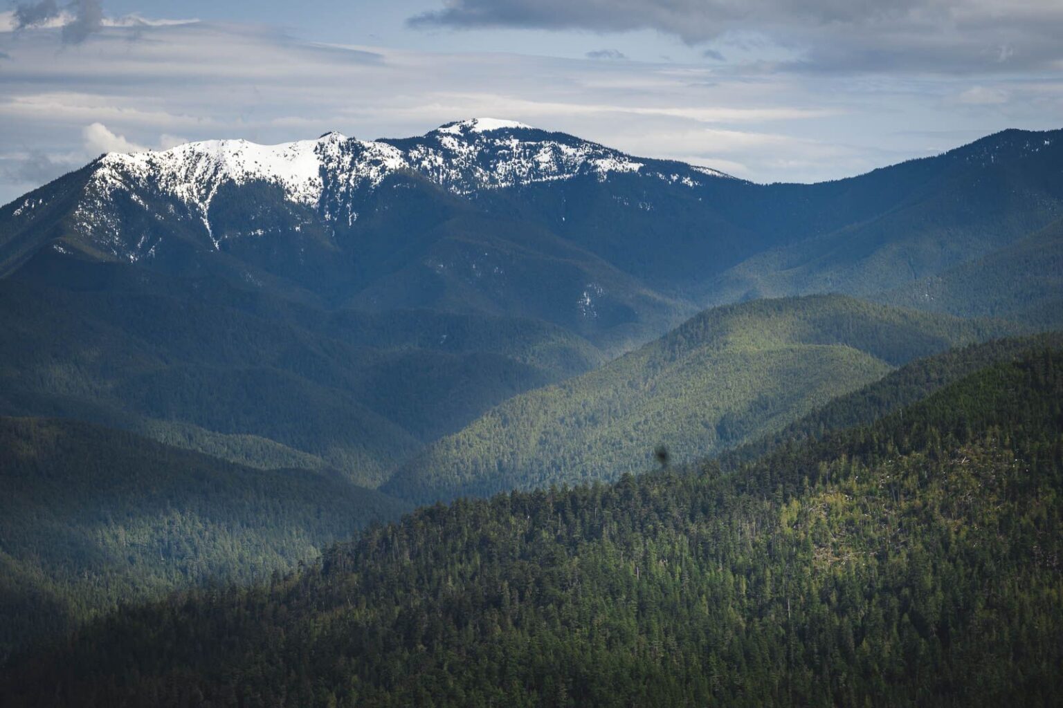 22 Amazing Things to Do in Olympic National Park